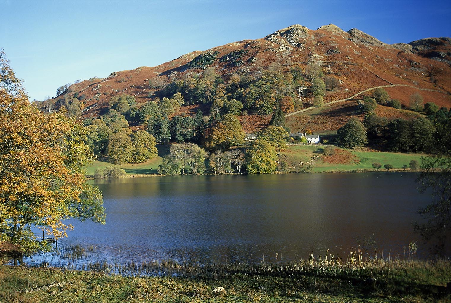 Loughrigg Fell from Ambleside | AA RatedTrips.com