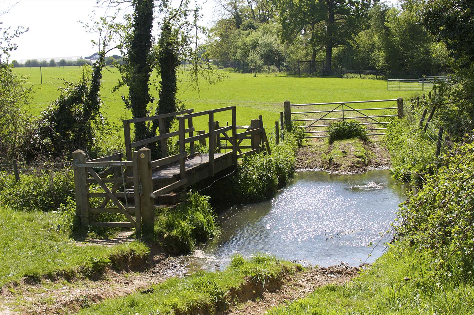 Elizabethan North Mymms Park | AA RatedTrips.com