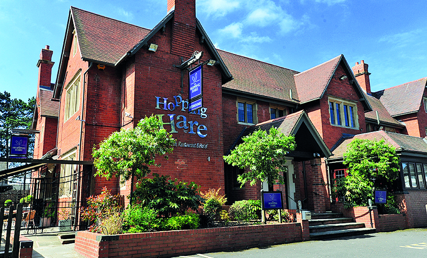 The Hopping Hare | Rated and reviewed by experts on RatedTrips.com