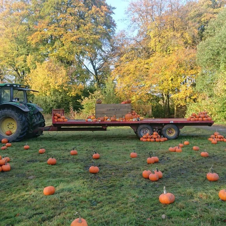 Smithills Open Farm | Rated and reviewed by experts on RatedTrips.com