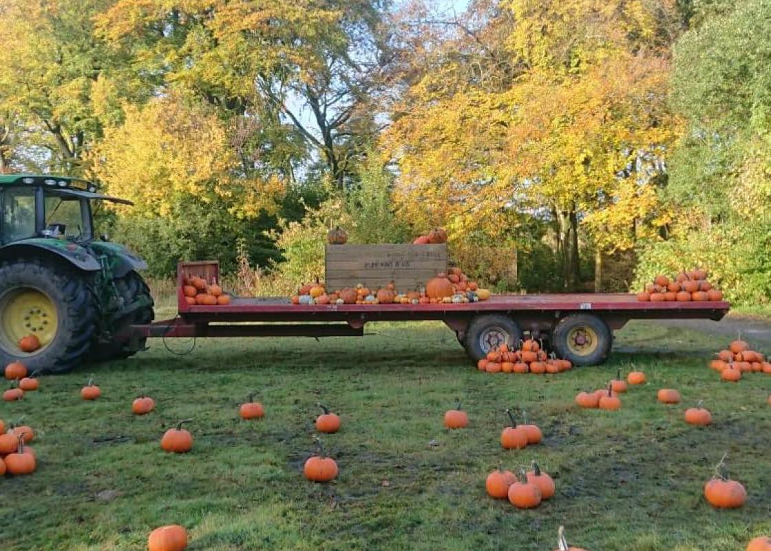 Smithills Open Farm | Rated and reviewed by experts on RatedTrips.com